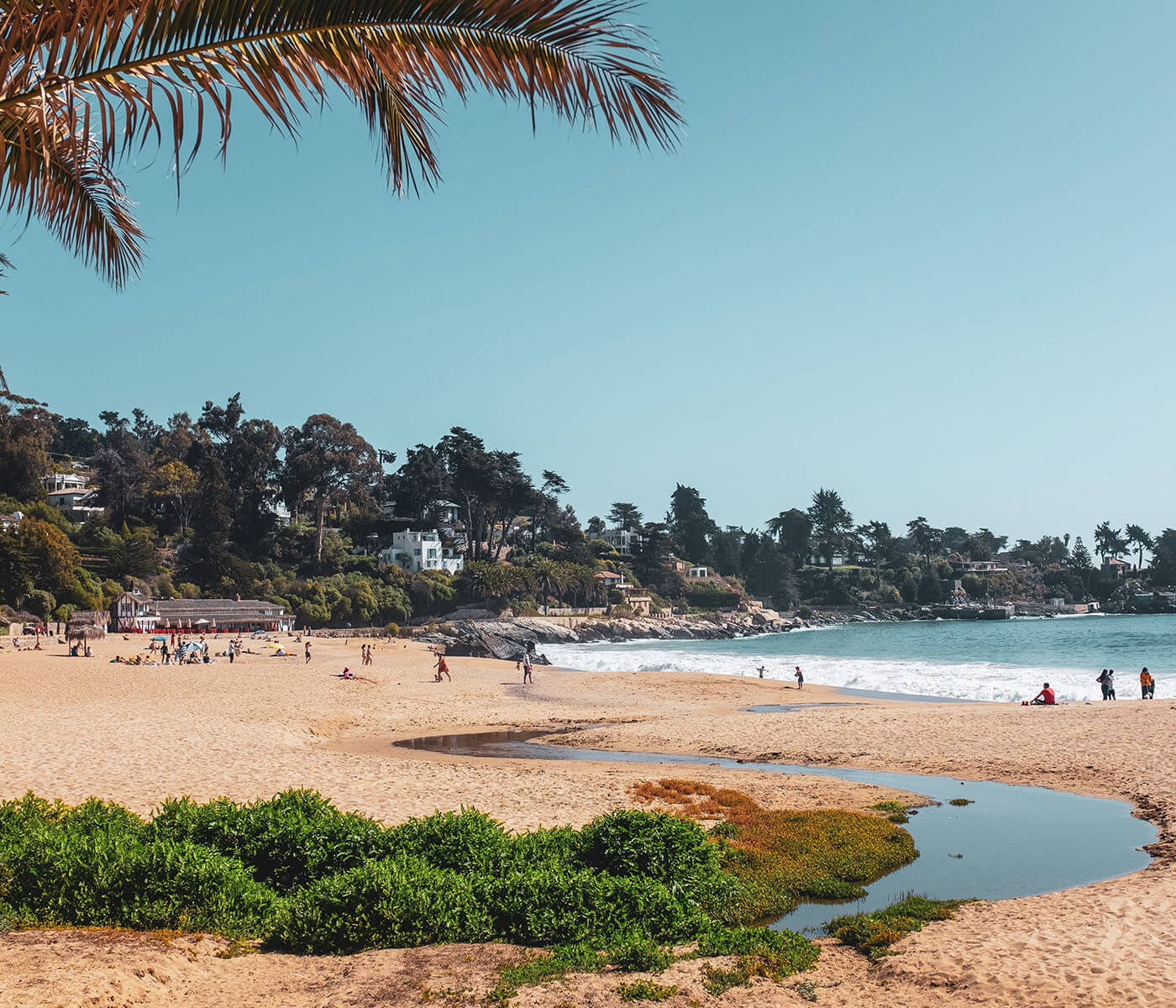 Mar limpio y aguas tratadas - Corporación para el Desarrollo de Zapallar